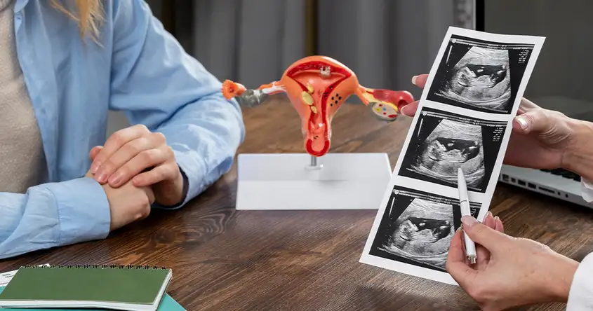 How Intrauterine Insemination (IUI) Can Help in Assisted Reproductive ...