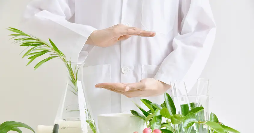 Treating Pubic Lice: Effective Home Remedies and Over-the-Counter Options