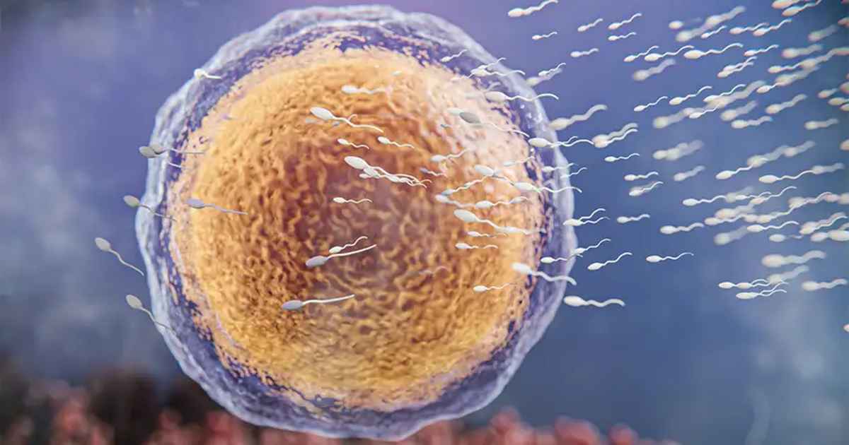 Tipi di azoospermia: ostruttiva vs non ostruttiva