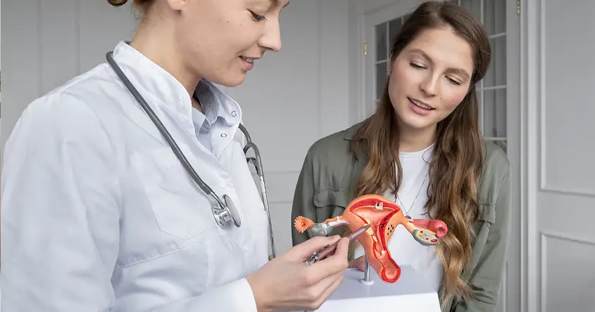 Understanding Primary Ovarian Insufficiency: Causes, Symptoms, and ...