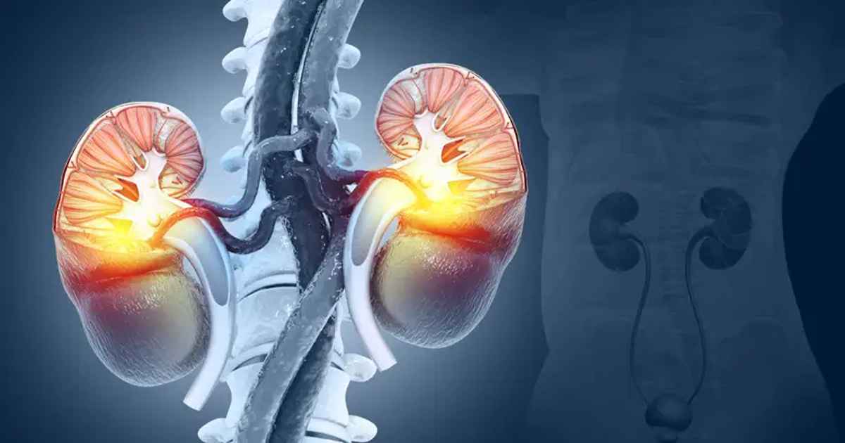 Kidney and Urinary Tract Health